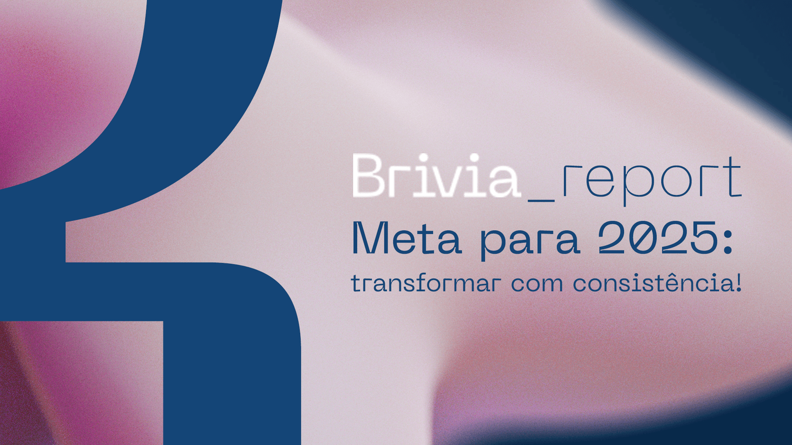 Brivia - Insights